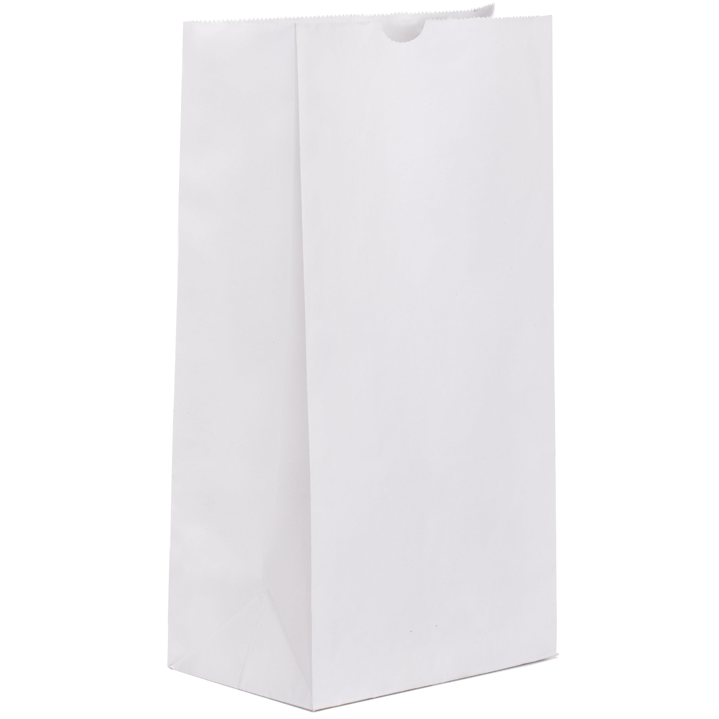 #20 White Paper Bags 20LB | Inbulks